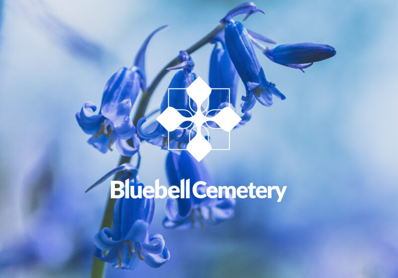Bluebell Cemetery – Creative production Group