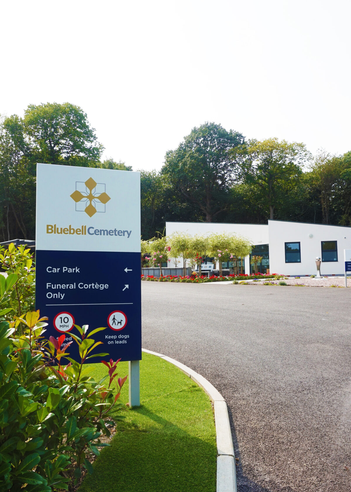 Bluebell Cemetery – Creative production Group